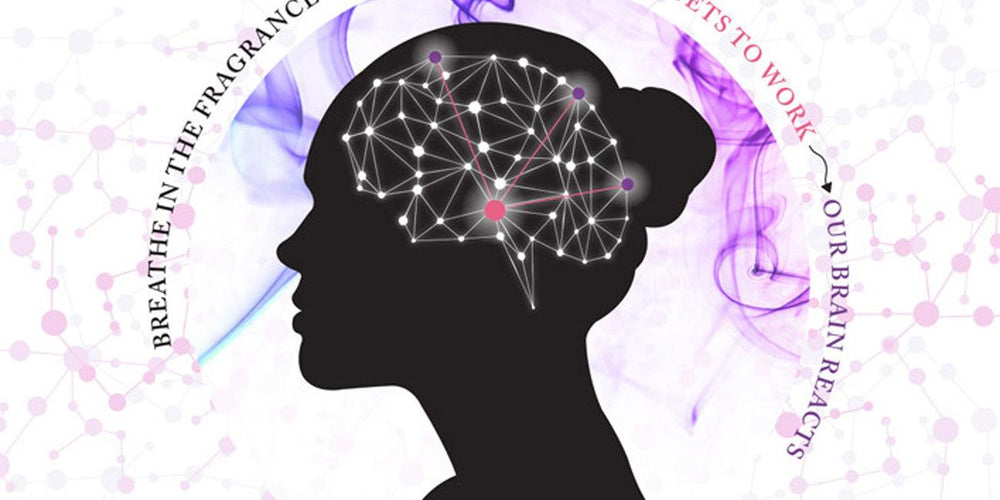 SCENTS-SIBLE FACTS – Tisserand Malaysia